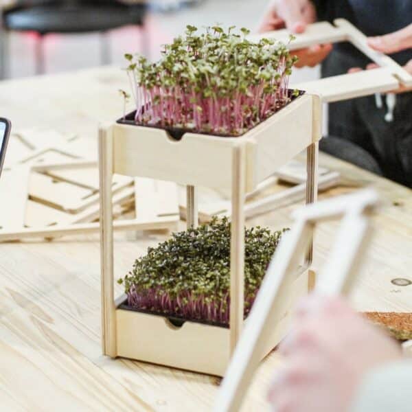 The vertical farm for your window board - WinGrow | Blog
